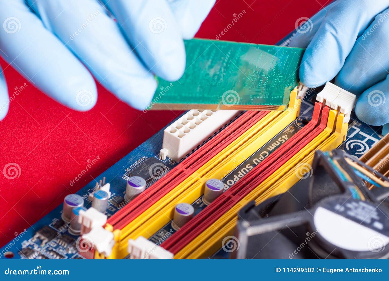 Banks of Memory in Hands before Inserting To PC Mainboard Stock Photo ...