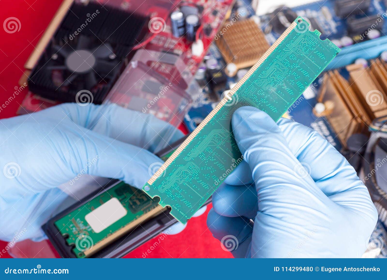 Banks of Memory in Hands before Inserting To PC Mainboard Stock Photo ...