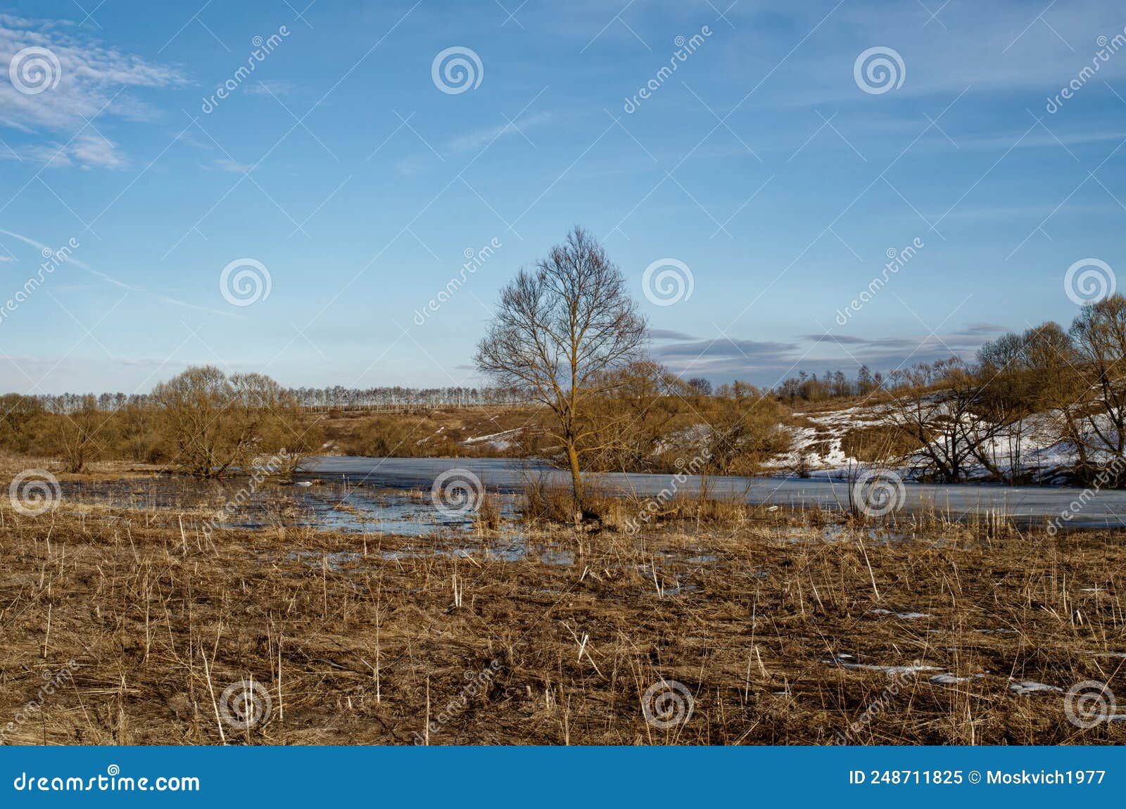 On the Banks of the River in Early Spring Stock Image - Image of scenic ...