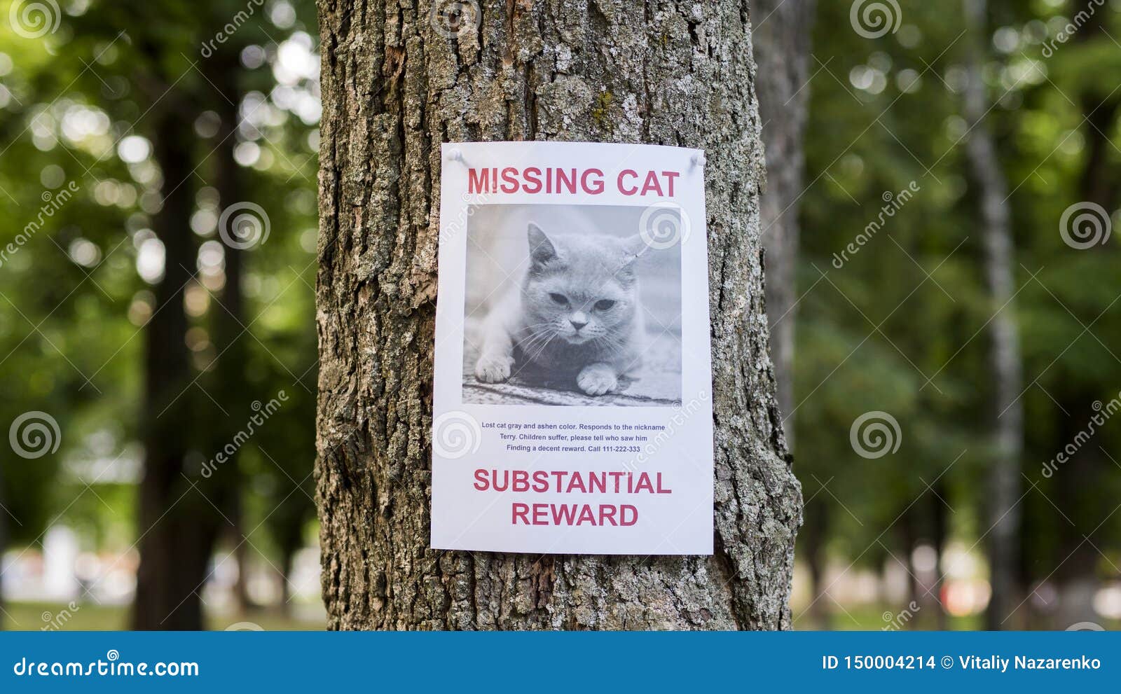 Banner with the Announcement of the Missing Cat Hanging on a Tree in ...