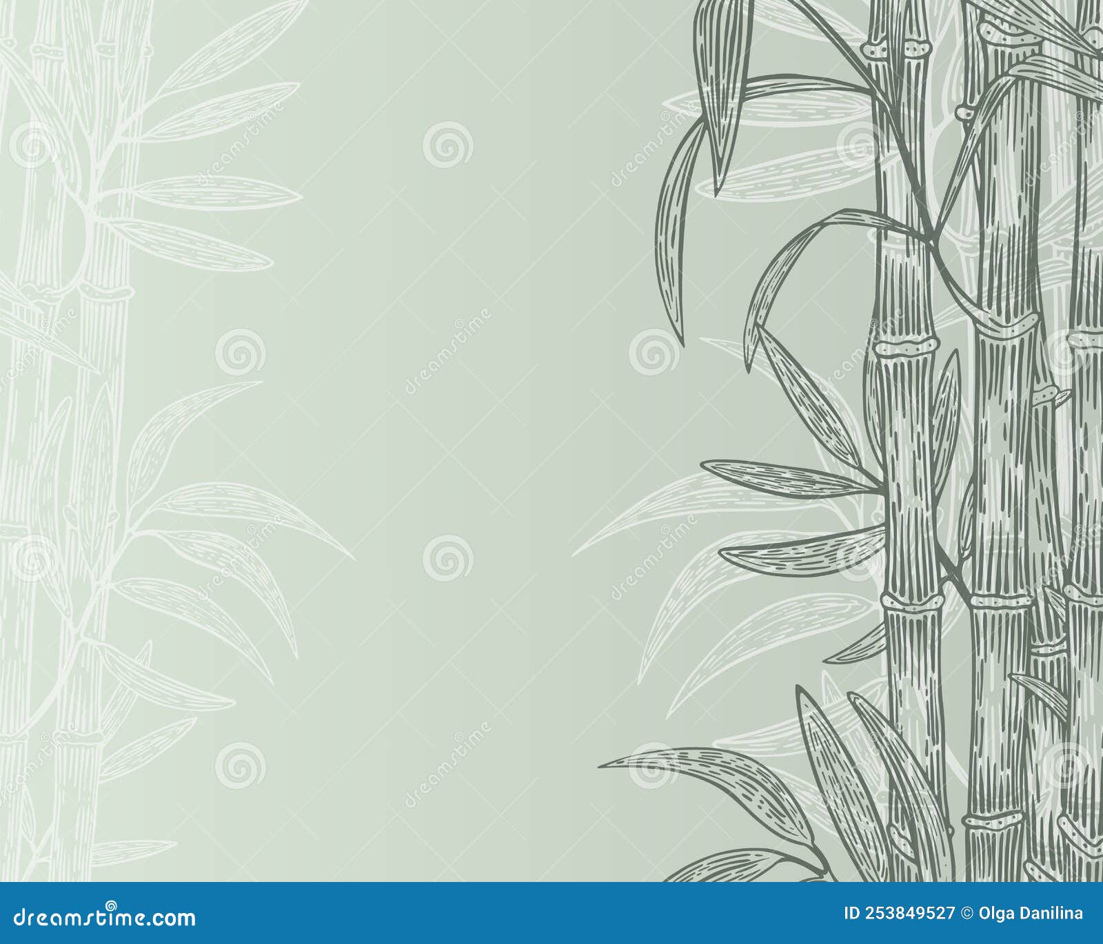 Banner Background Bamboo Sketch Hand Drawn Vector Stock Vector ...