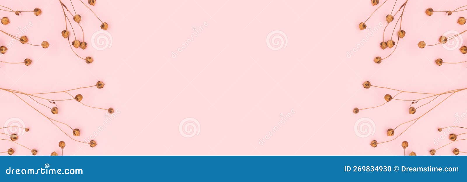 Banner with Border Frame Made of Dried Flax Flowers on a Pink ...