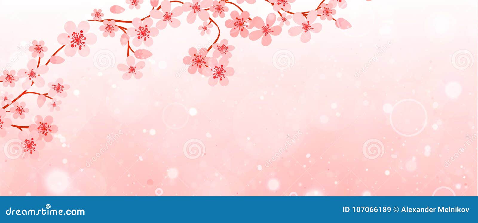Banner of Branches with Cherry Blossoms Stock Vector - Illustration of ...
