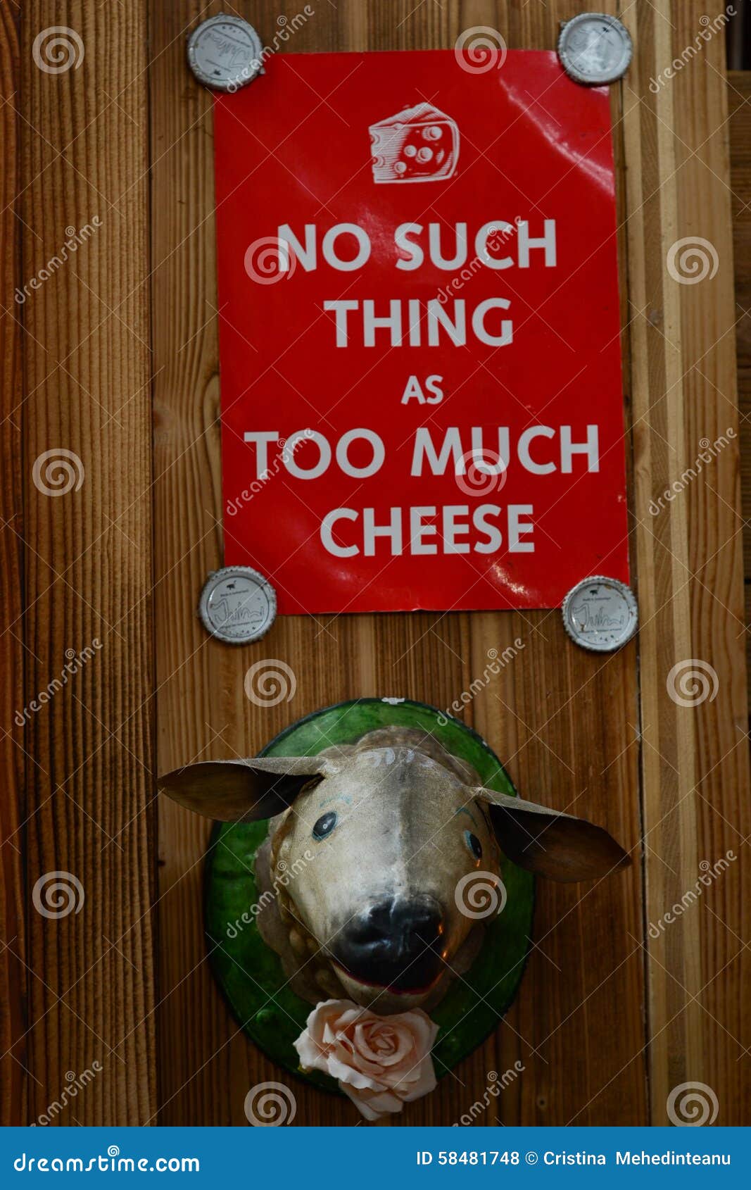 Banner about cheese stock photo. Image of eating, advertising - 58481748