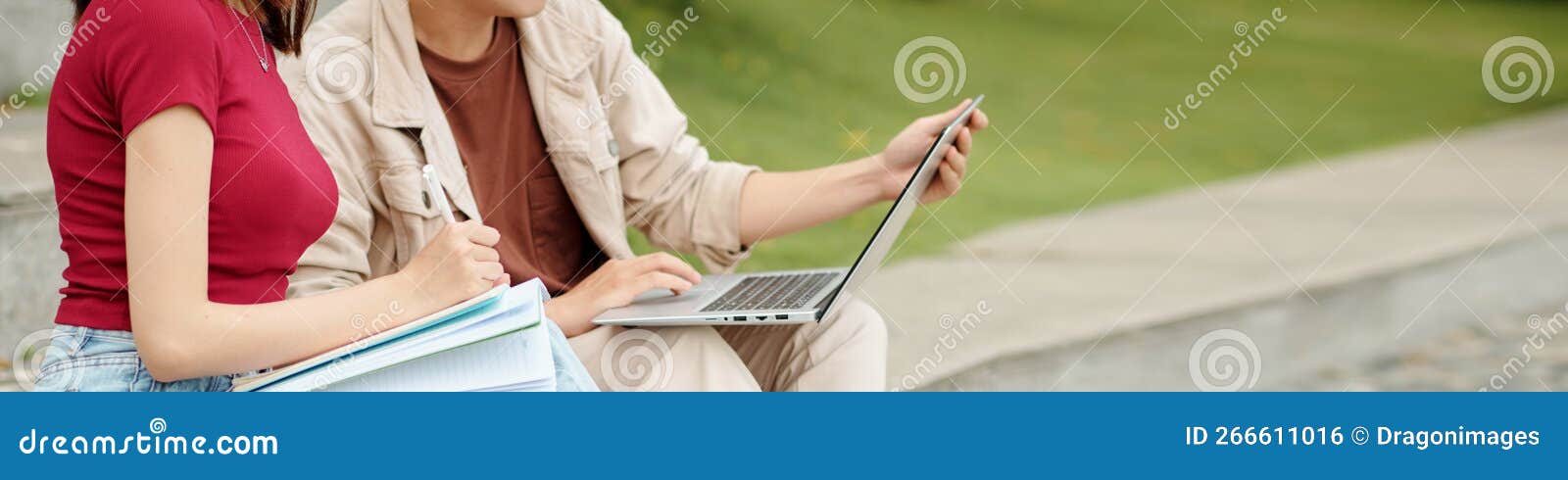 Classmates Doing Homework stock photo. Image of people - 266611016