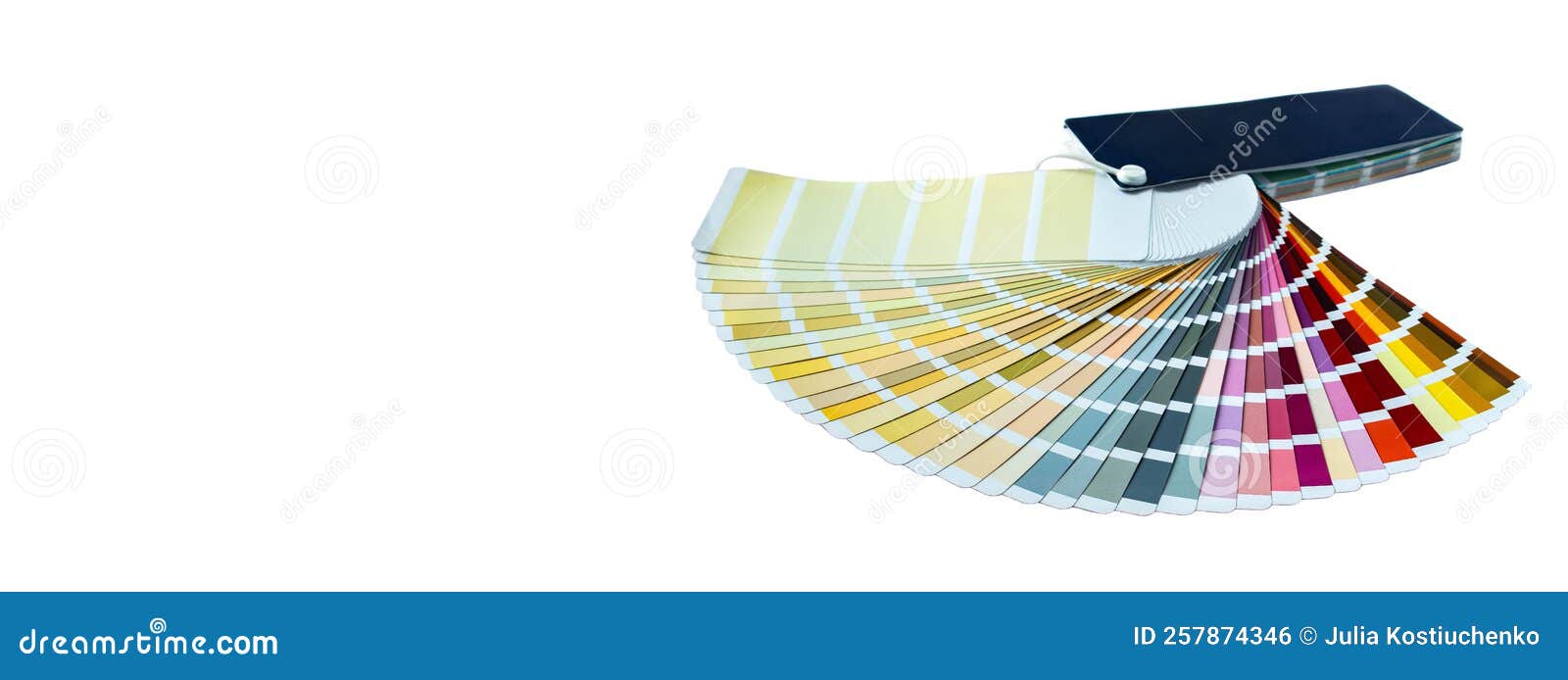 Banner of a Color Guide Displaying a Range of Hues for Use in Interior ...