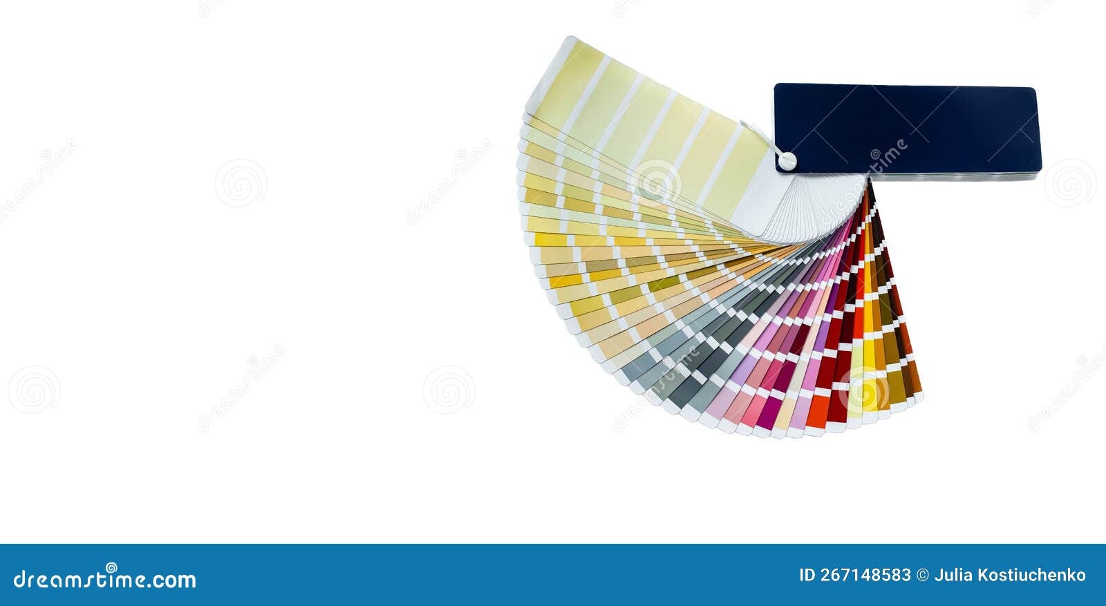 Banner of a Color Guide Displaying a Range of Hues for Use in Interior ...