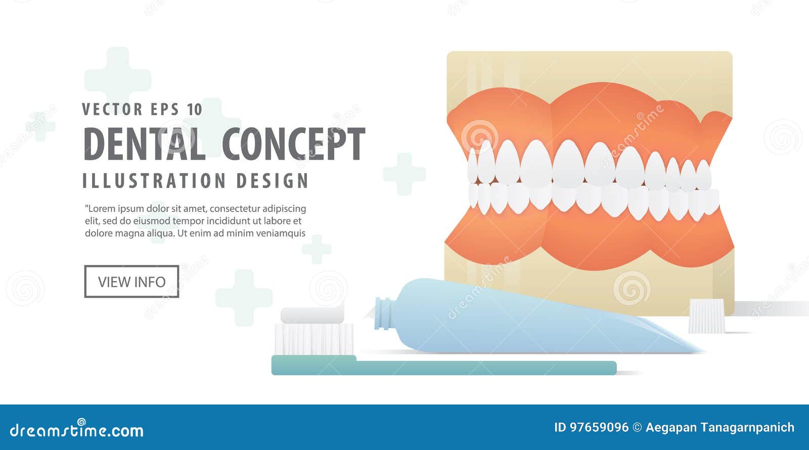Banner Dentures Model And Equipment Dental Illustration Vector O ...