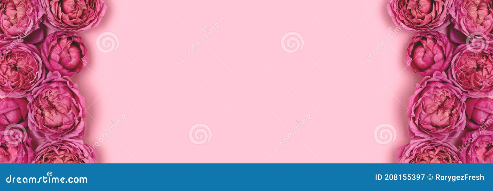 Banner with Frame Made of Rose Flowers Texture on a Pink Background ...