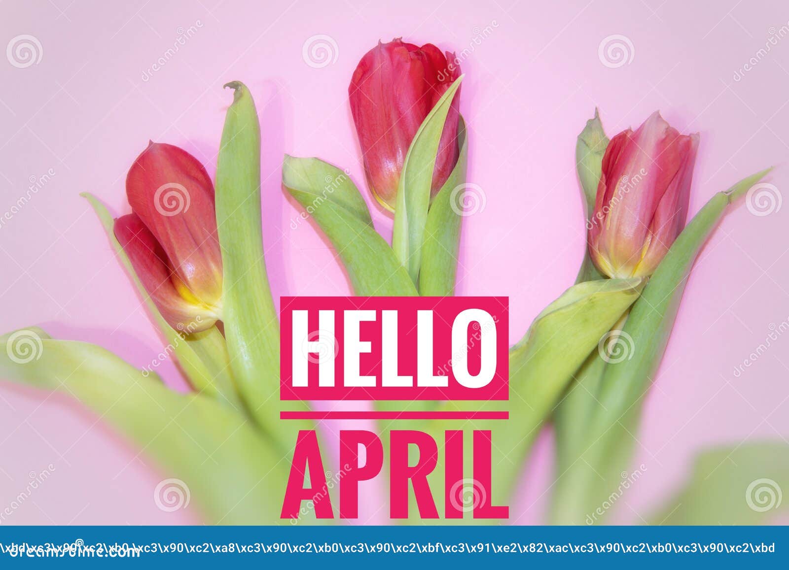 Banner Hello April. Hi Spring. the Second Month of Spring Stock Image ...