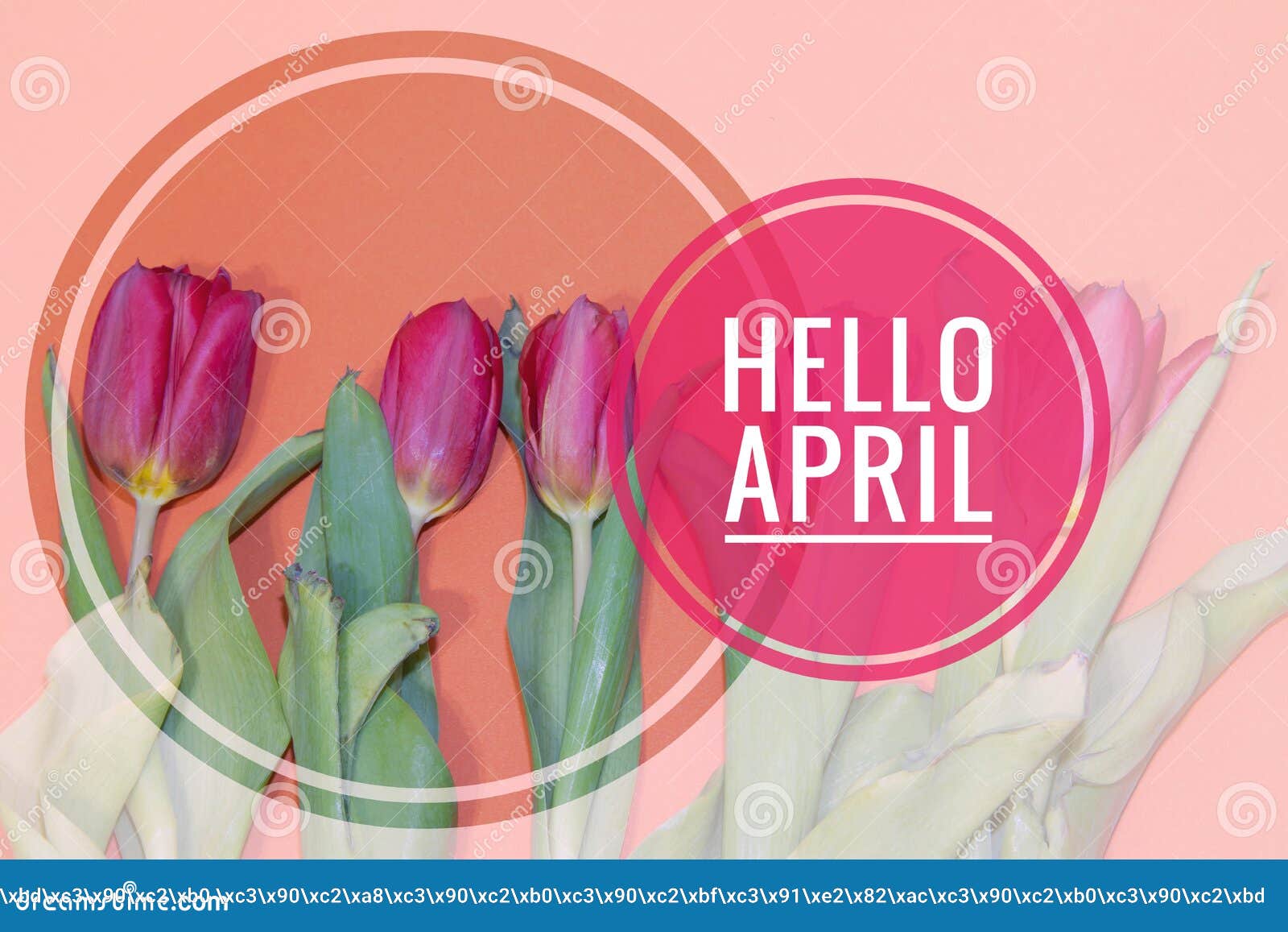 Banner Hello April. Hi Spring. the Second Month of Spring Stock Photo ...