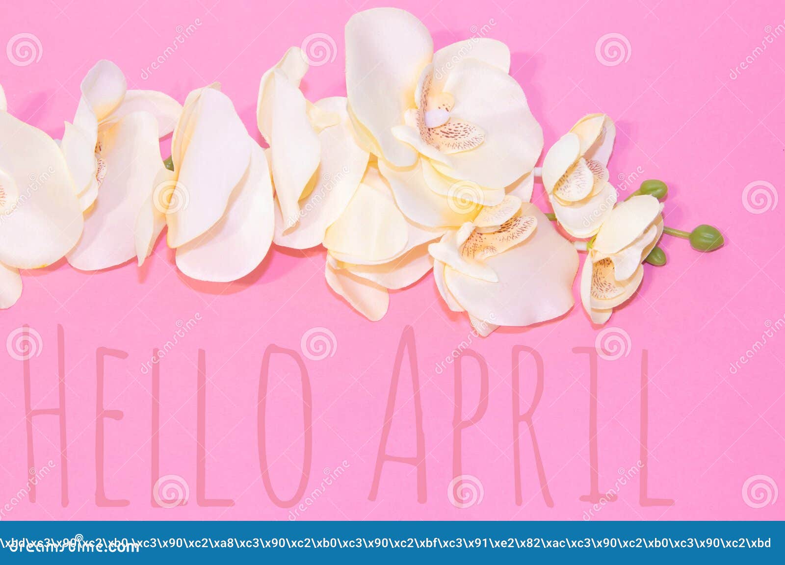 Banner Hello April. Hi Spring. the Second Month of Spring Stock Photo ...