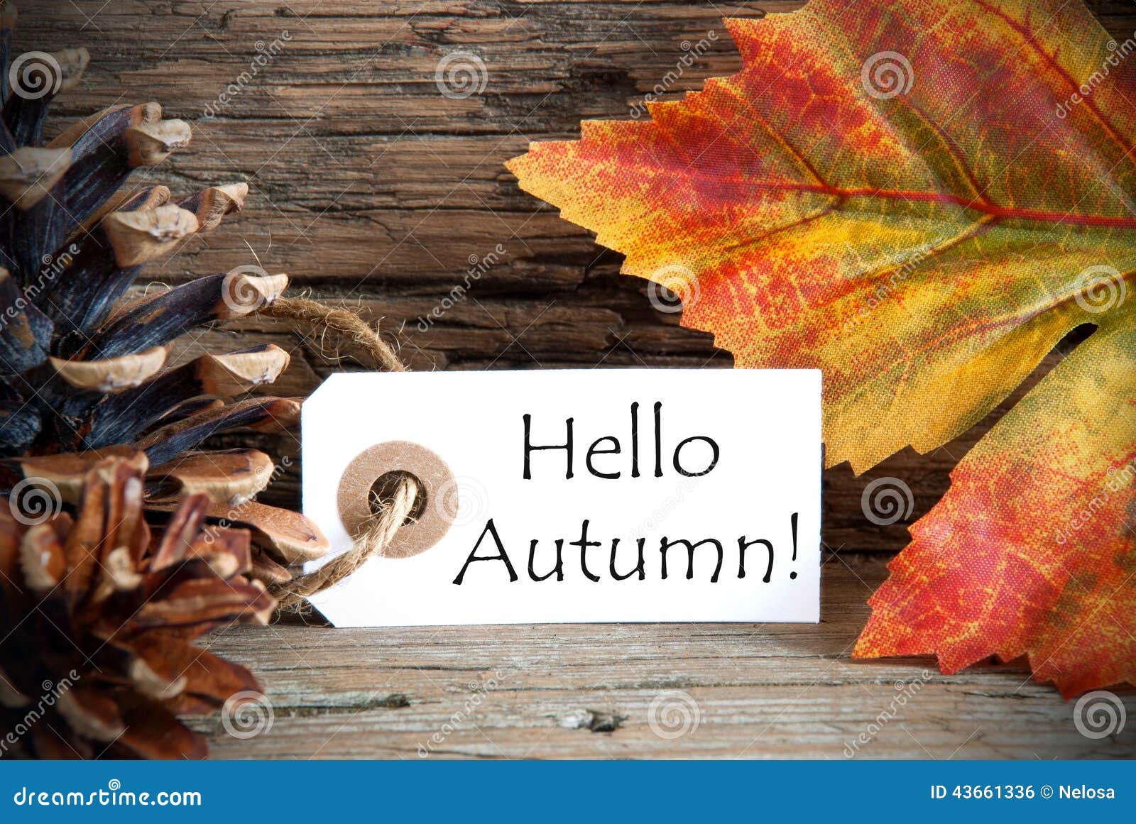 Art Hello Autumn. Thanksgiving Holiday Party Background, Autumn Pumpkin ...