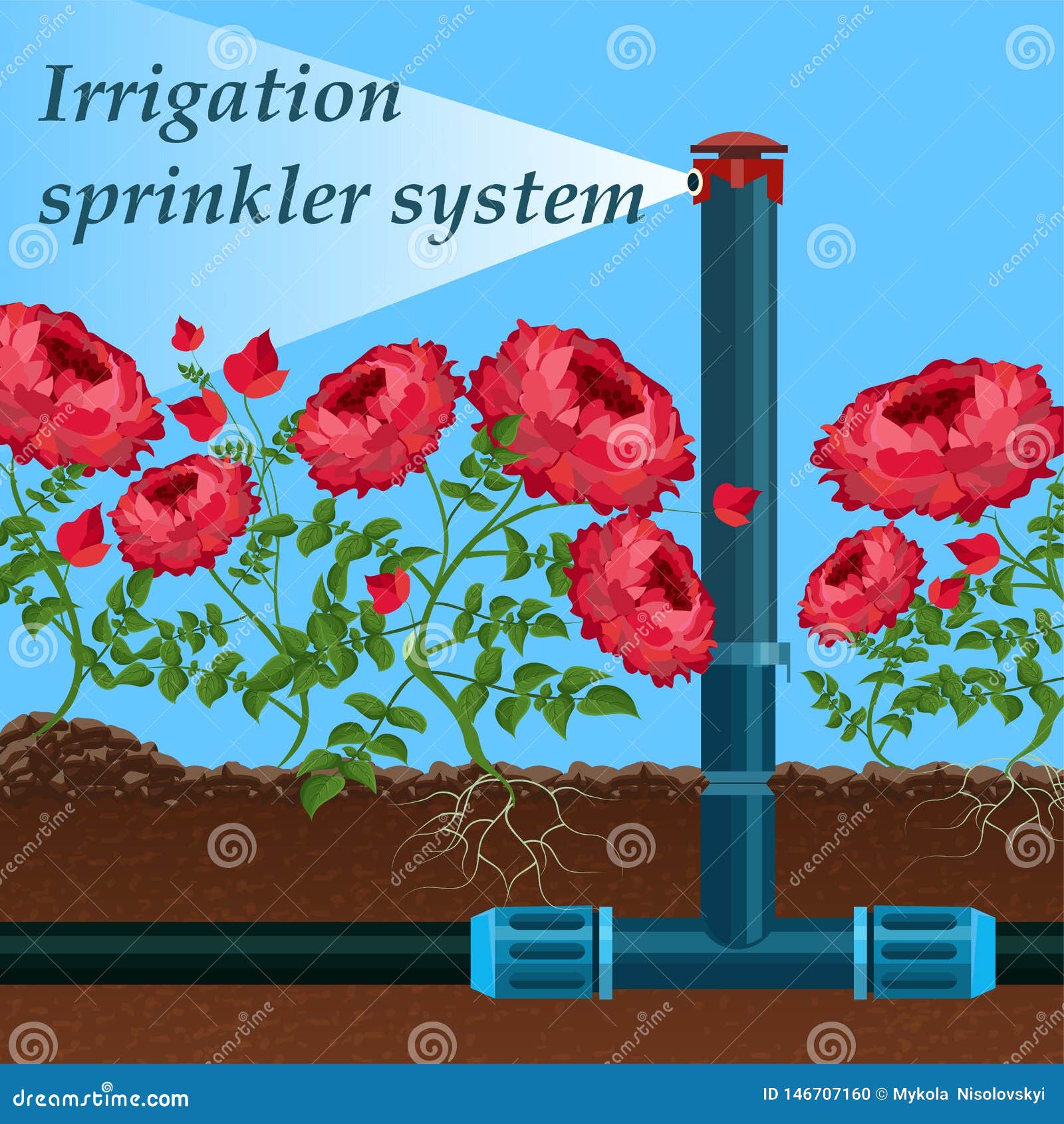 Banner Inscription Irrigation Sprinkler System. Stock Vector ...