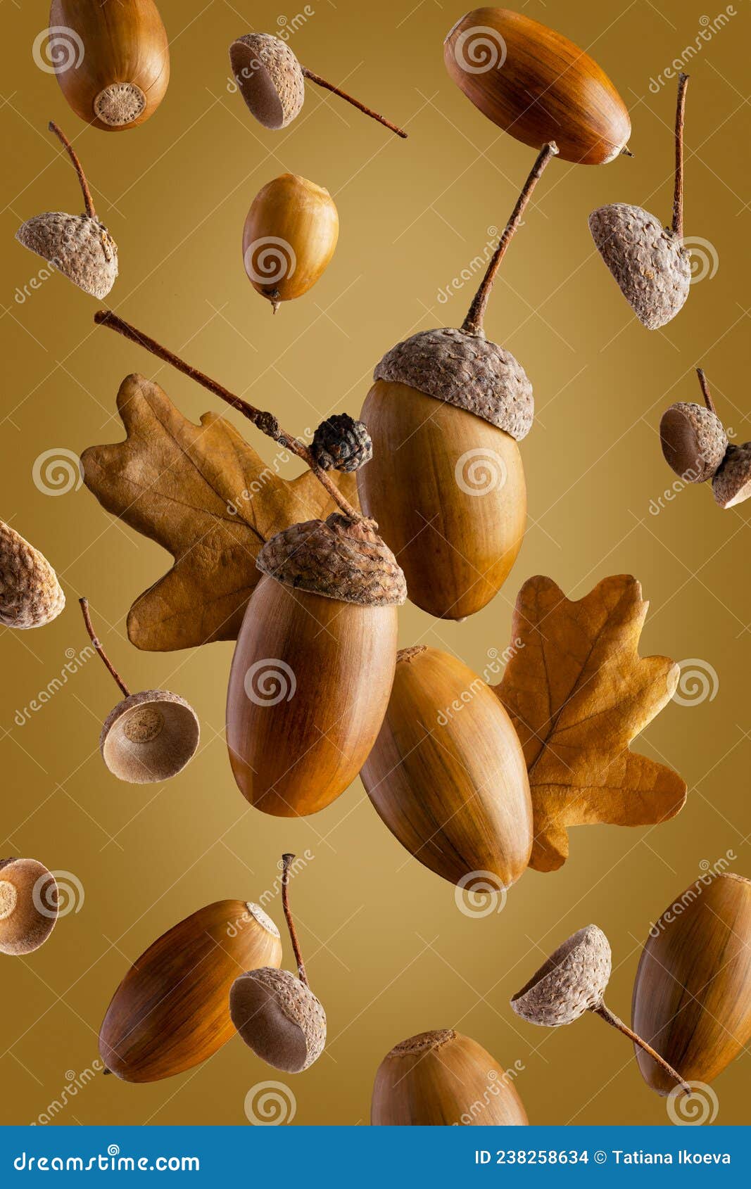 Banner Made of Acorns in the Style of Advertising. Oak Nut Stock Photo ...