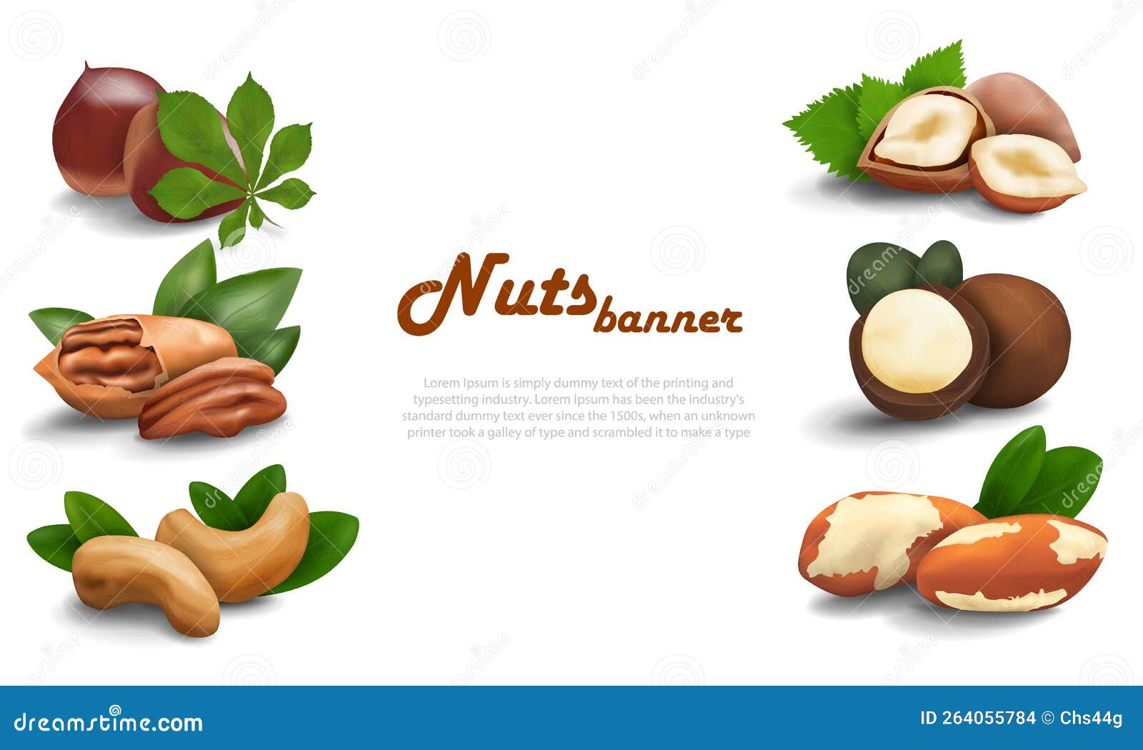 Realistic Nuts. 3D Natural Products. Dry Vegetables Snacks. Hazelnut In ...