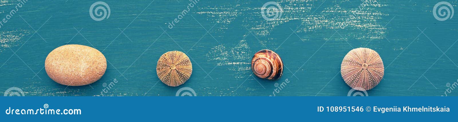 Banner Set Sea Shell Decorative Frame Place for Text. Stock Photo ...