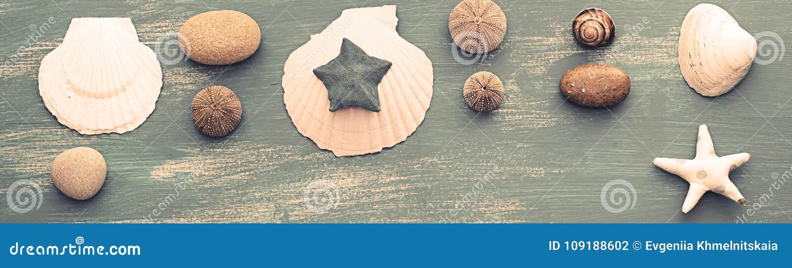 Banner Set Sea Shell Decorative Frame Place for Text. Stock Photo ...