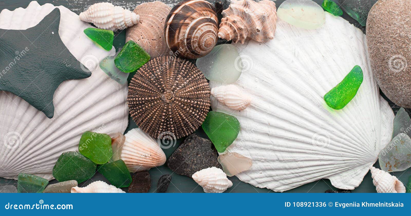 Banner Set Sea Shell Decorative Frame Place for Text. Stock Photo ...