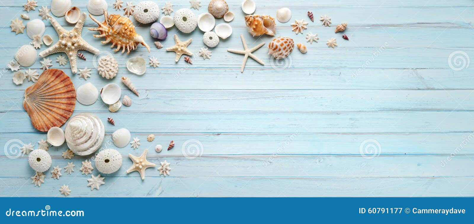 Summer Shells Blue Wood Banner Background Stock Image - Image of ...