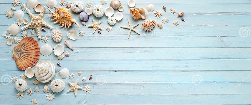 Summer Shells Blue Wood Banner Background Stock Image - Image of ...