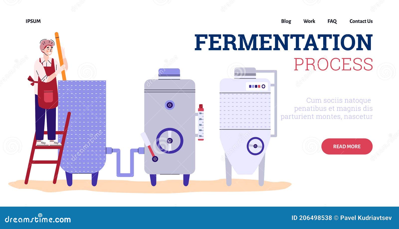 Fermentation Process Of Wine