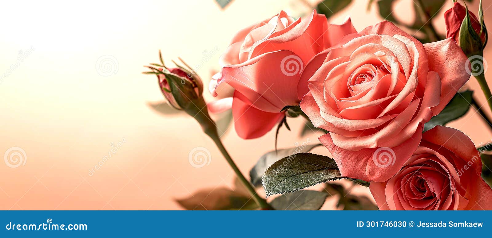 7000X3000 Pixel, 300 DPI, Rose in Banner Template, Abstract Background ...