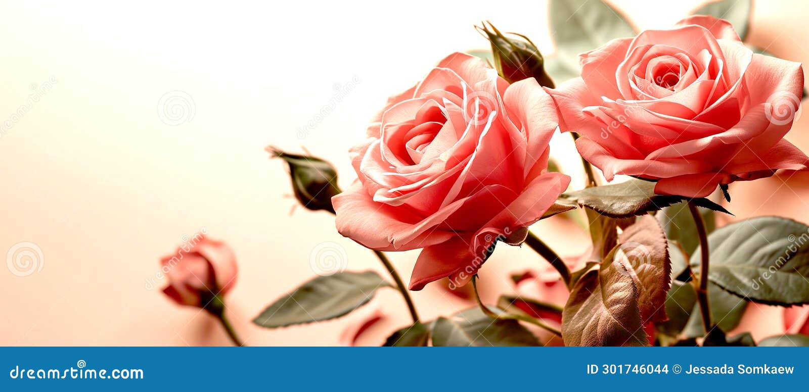 7000X3000 Pixel, 300 DPI, Rose in Banner Template, Abstract Background ...