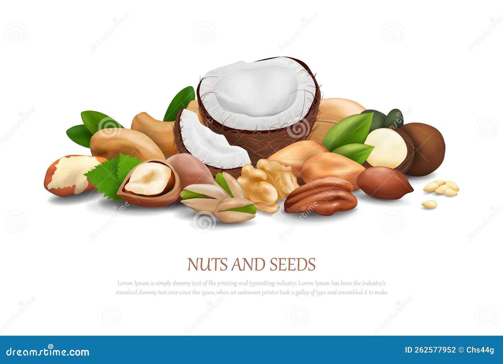 Banner template of nuts stock vector. Illustration of brazil - 262577952