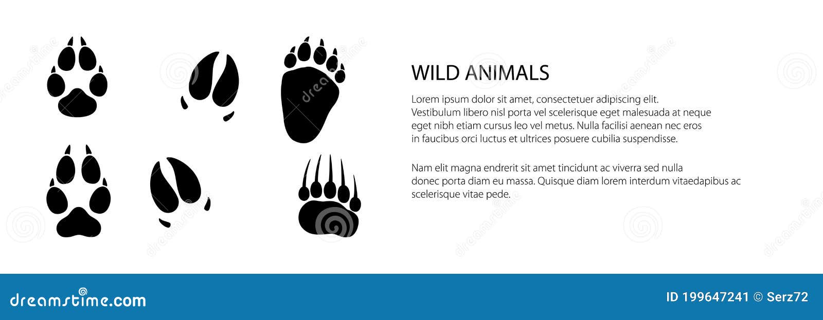 Banner of Traces of Forest Animals Stock Vector - Illustration of ...