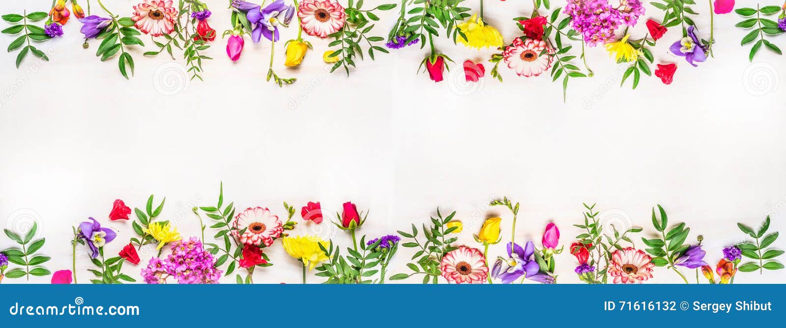 Banner for the Web Site, Various Multicolored Spring Flowers, Space ...