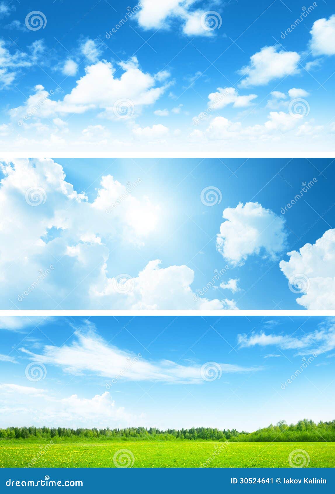 Banners of Field of Grass and Sky Stock Image - Image of flower, green ...