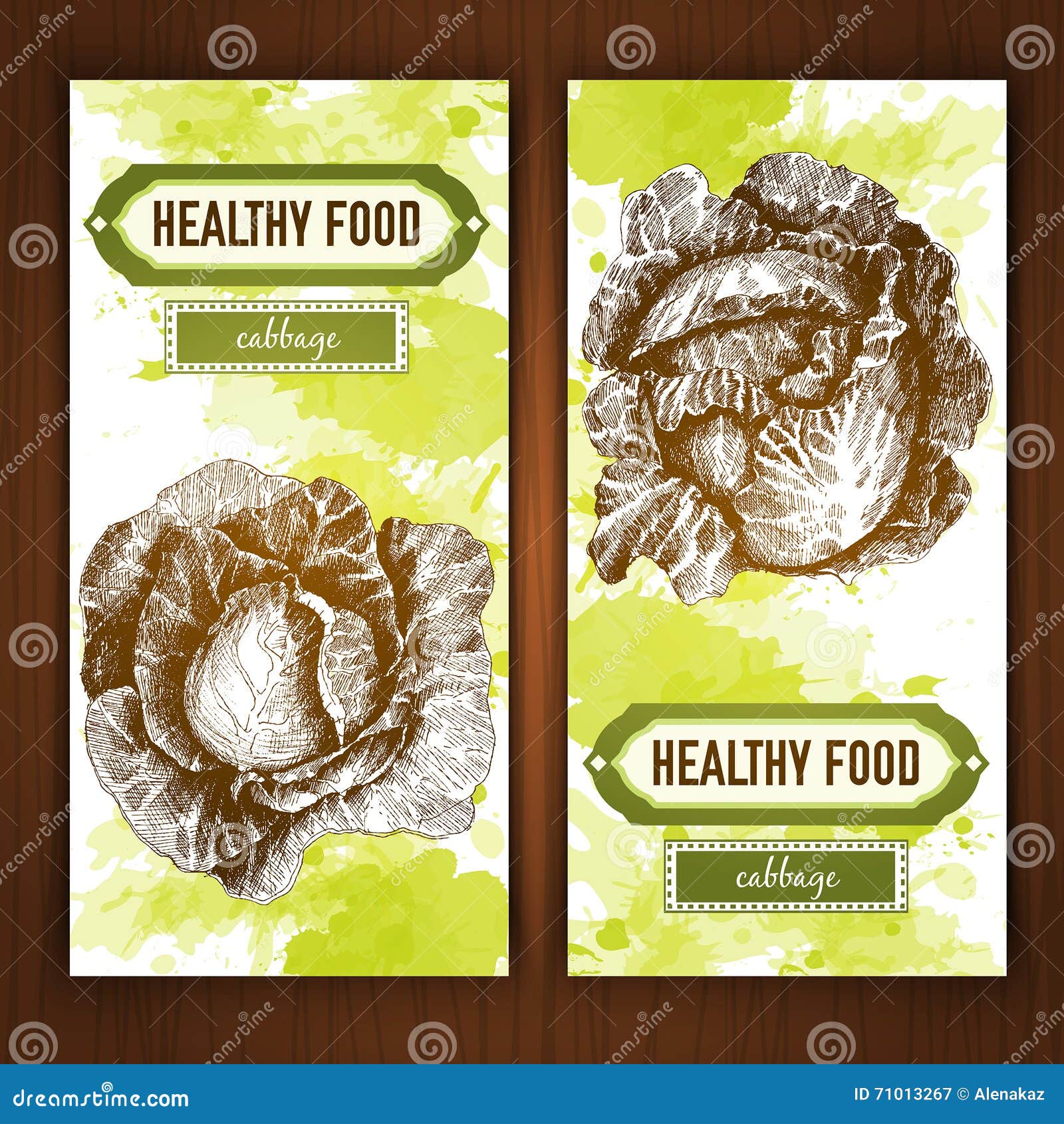 Banners with Graphic Cabbage Stock Vector - Illustration of head ...