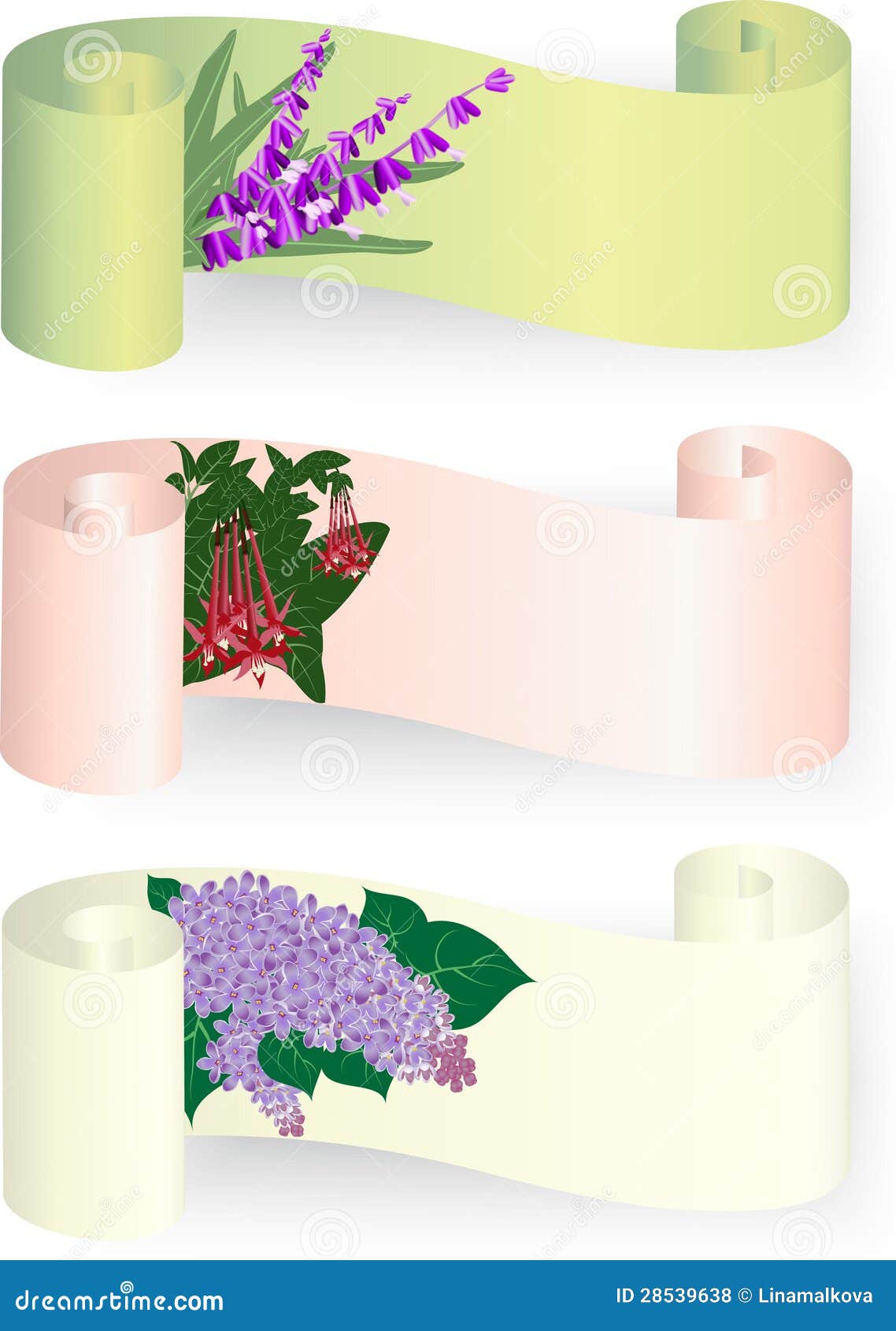 Banners with Lavender, Lilac and Fuchsia Stock Illustration ...
