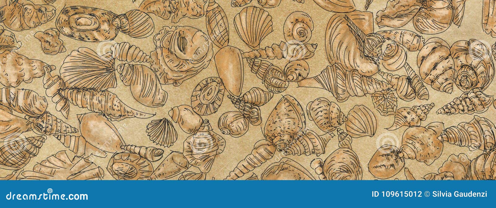 Banners Templates With Drawings Of Shells Royalty-Free Stock Image ...