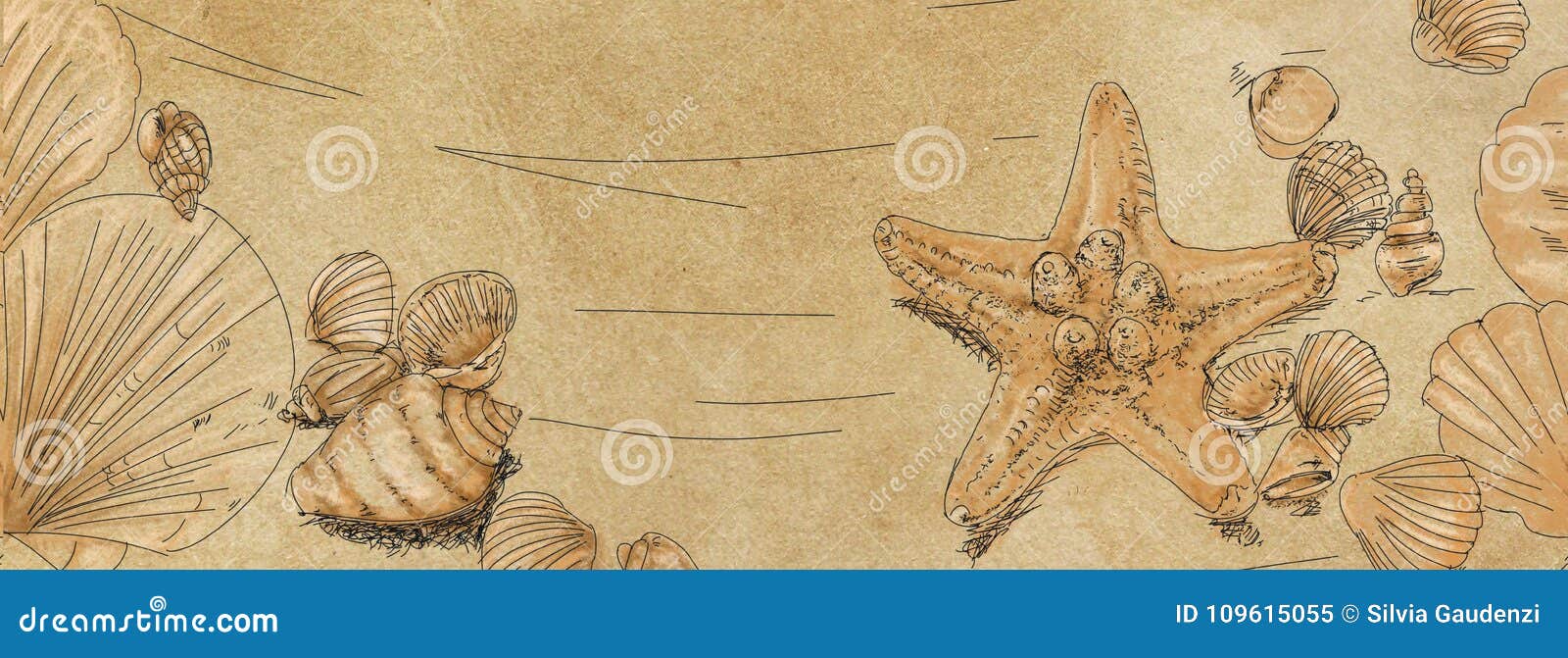 Banners Templates With Drawings Of Shells Royalty-Free Stock ...