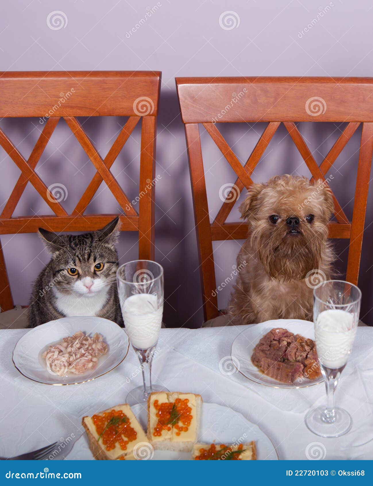 Banquet for the animals stock image. Image of domestic - 22720103