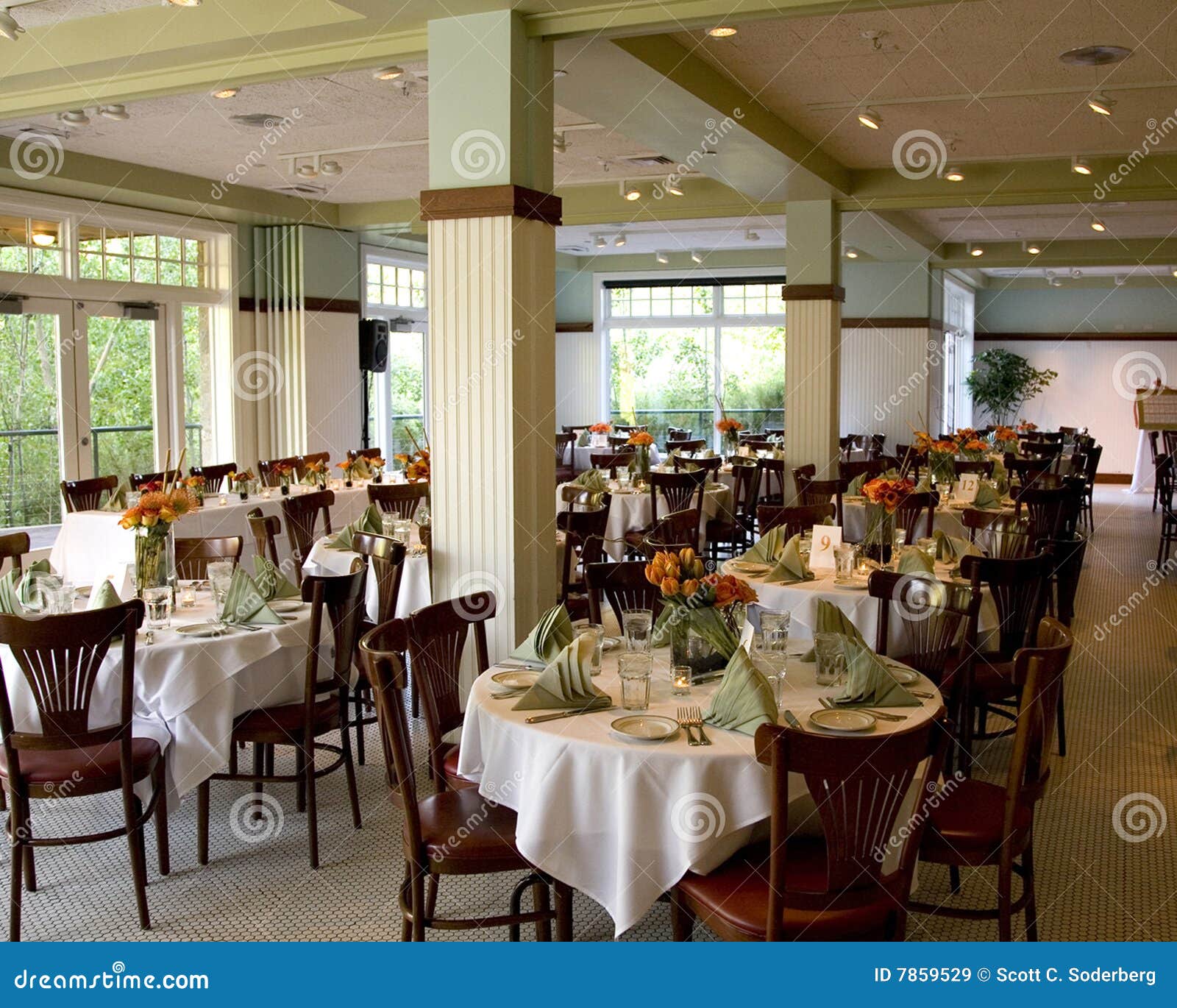 Banquet dining stock image. Image of chairs, flowers, room - 7859529