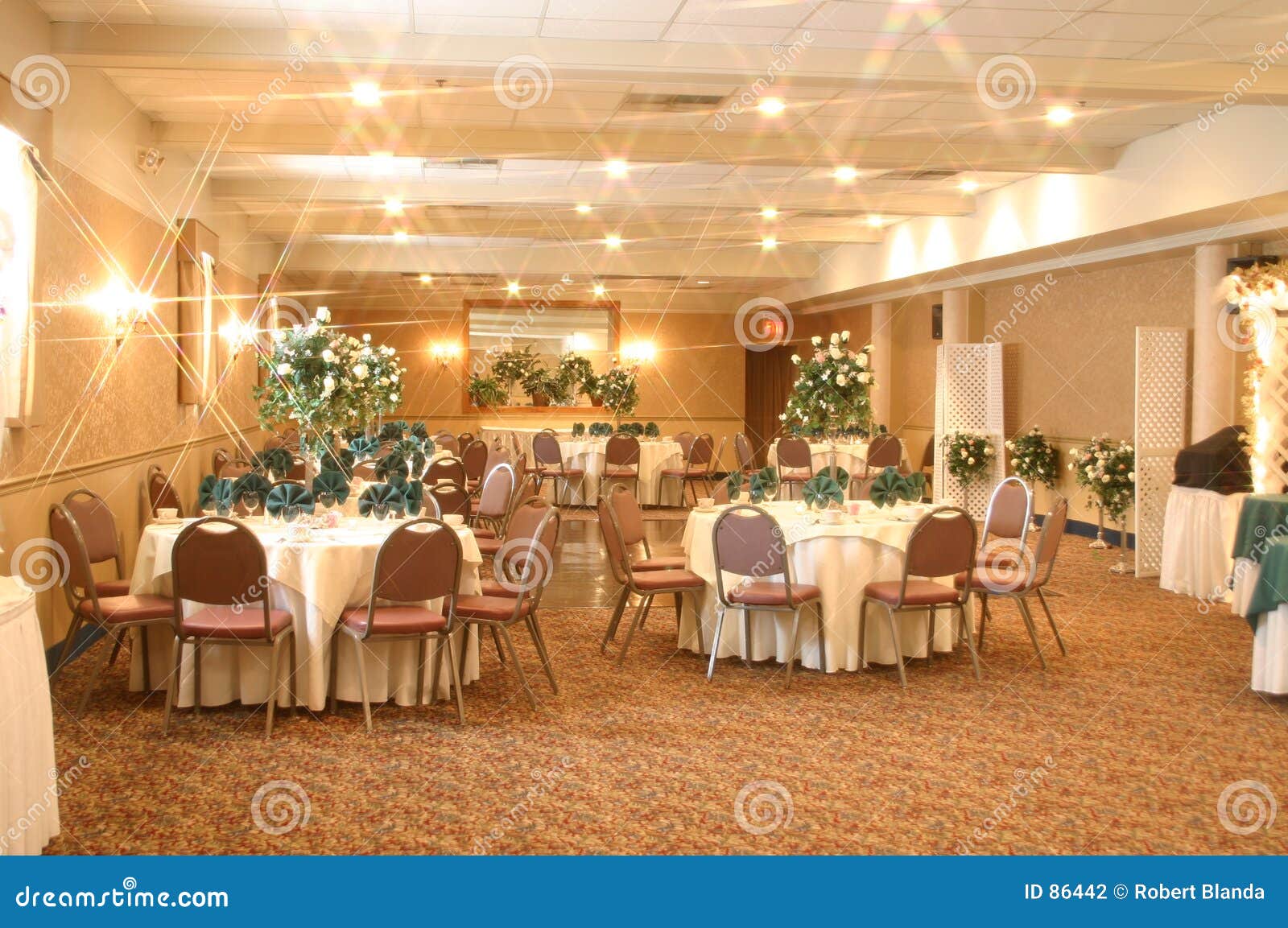 Banquet Facility stock photo. Image of mitzva, lights, wedding - 86442