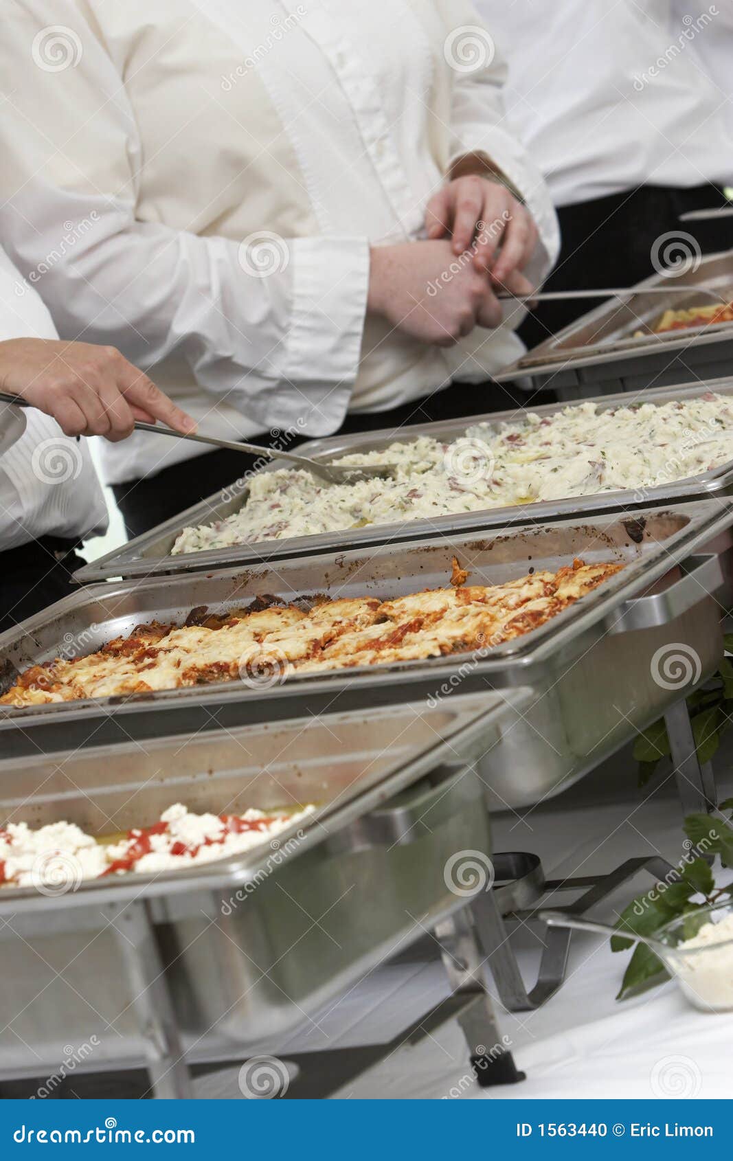 Banquet food stock photo. Image of chef, weddings, meat - 1563440