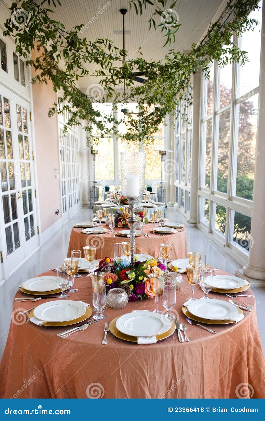Banquete foto de stock. Imagem de fantasia, jantar, planta - 23366418