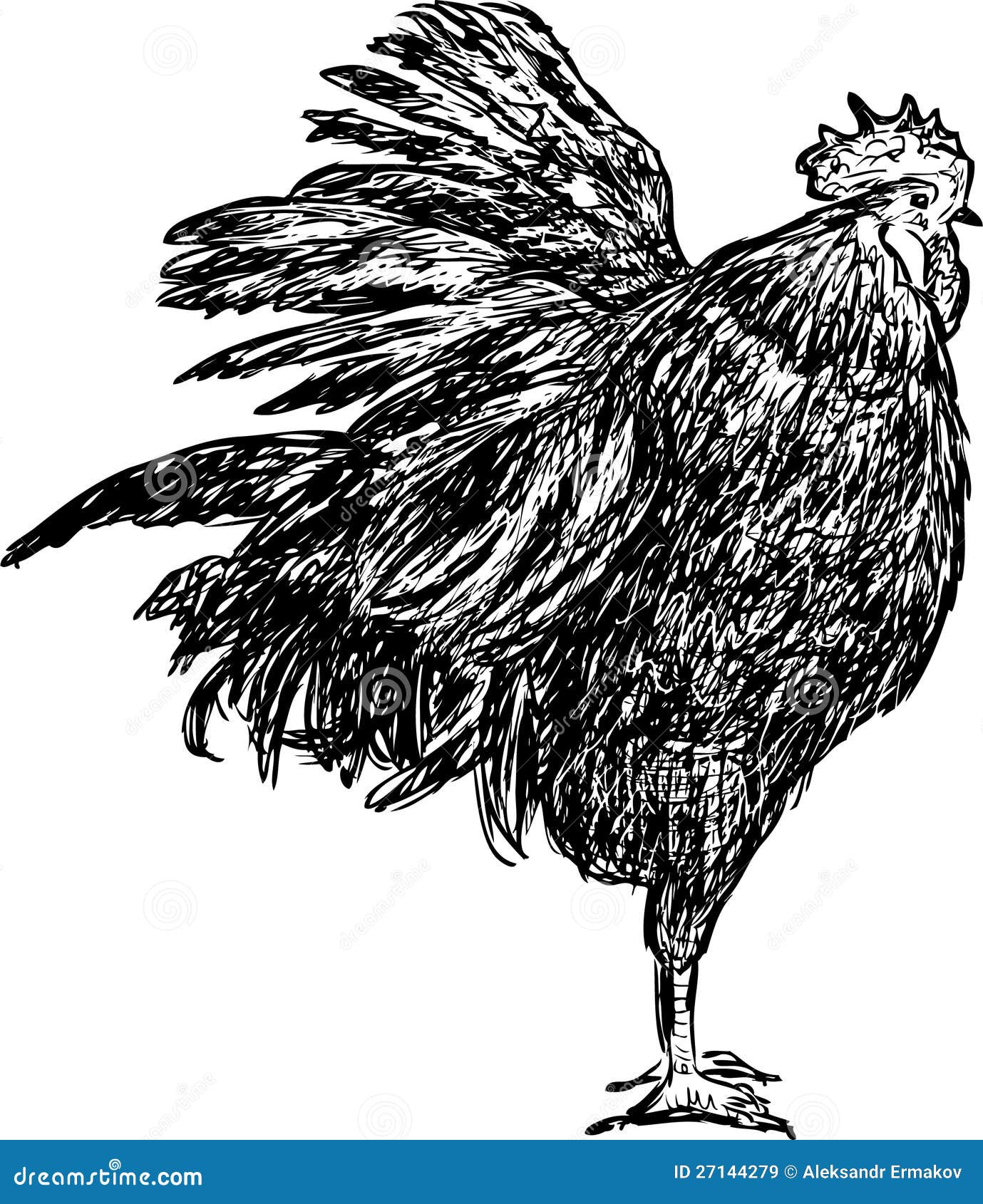 Bantam stock vector. Illustration of drawn, profile, doodle - 27144279