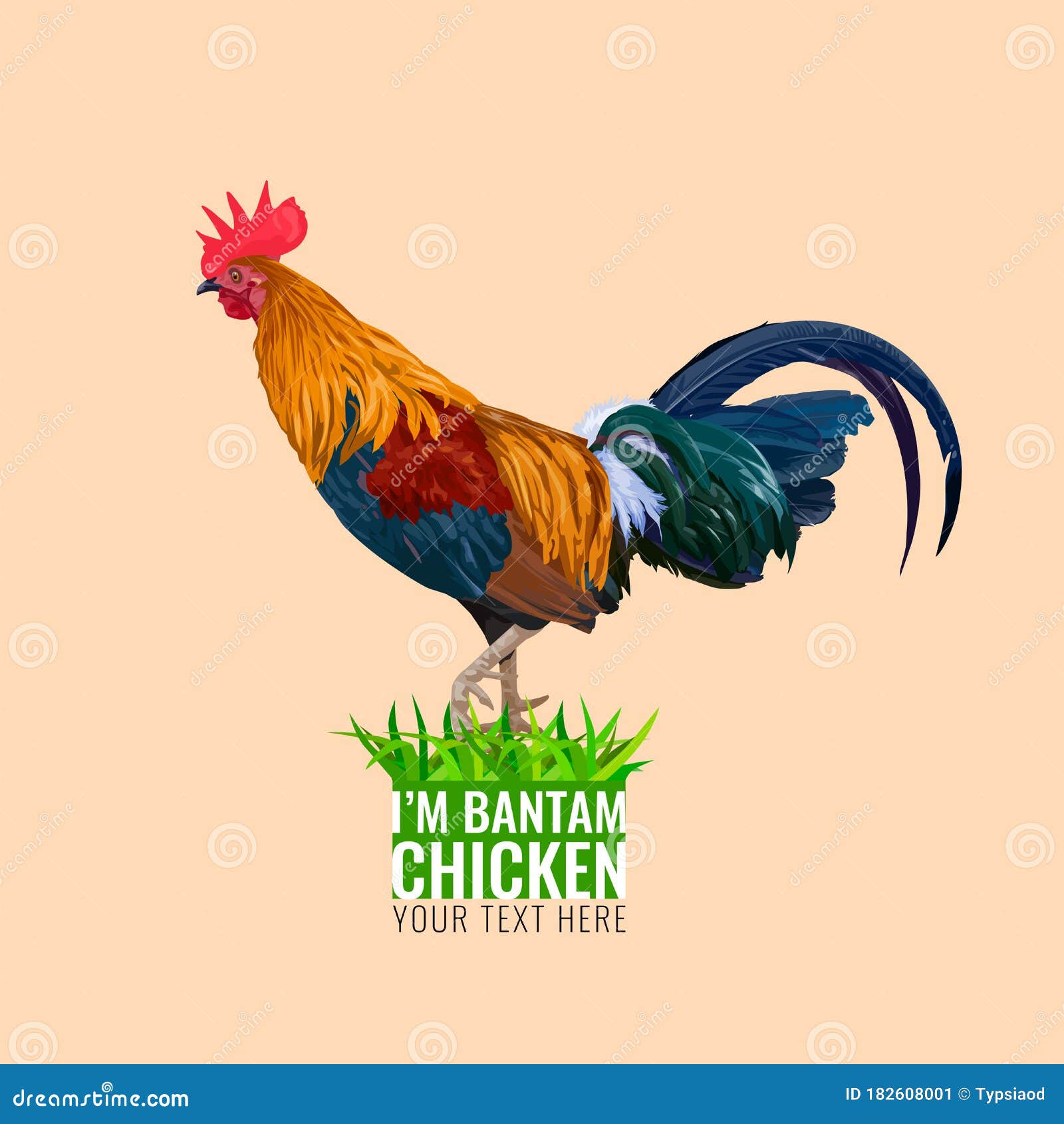 Bantam Chicken Logo Vector Silhouette | CartoonDealer.com #244238205