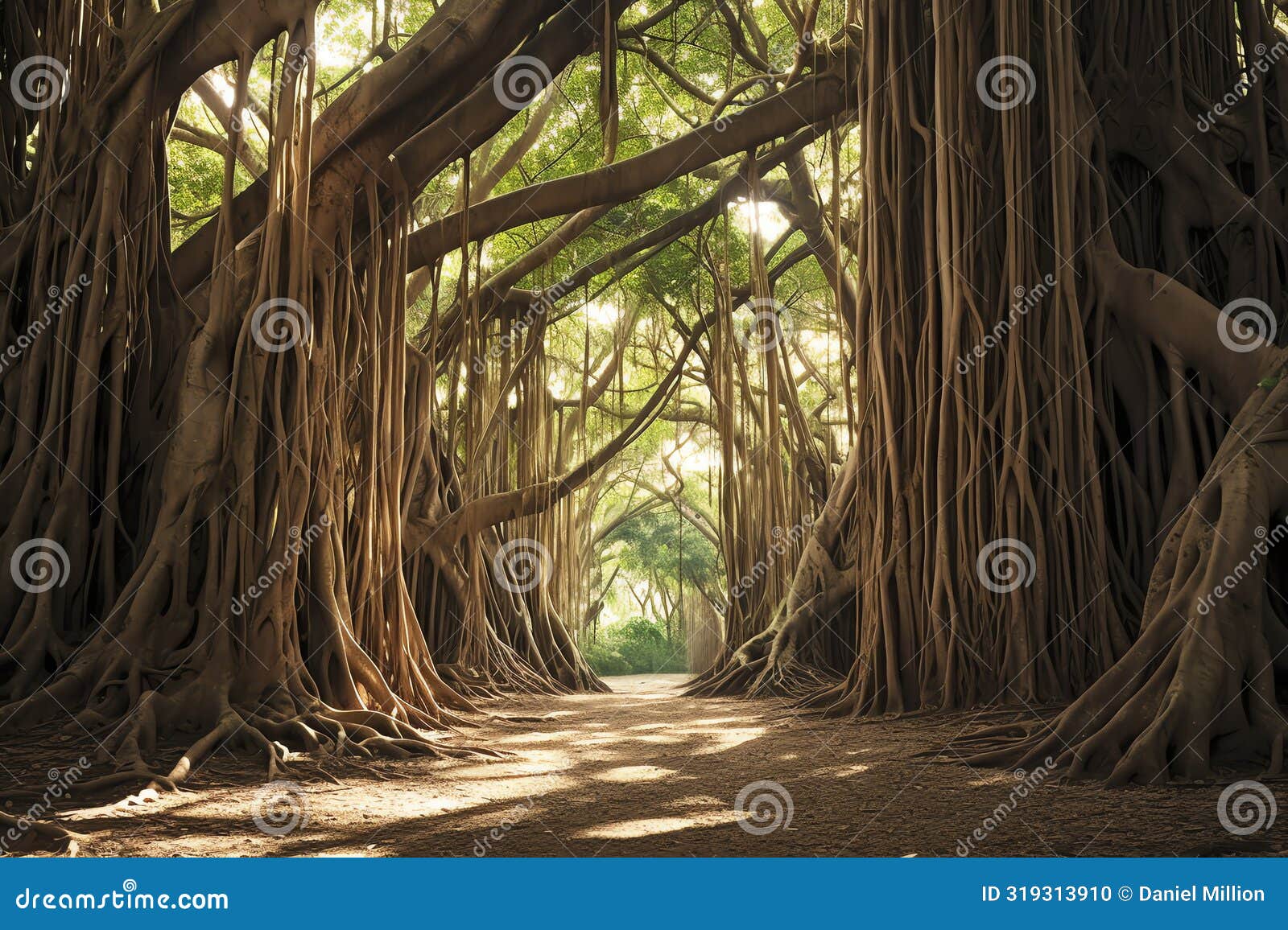Sanskrit Tree, Logo. Devanagari Letters Grow On Branches. The Symbol Of ...