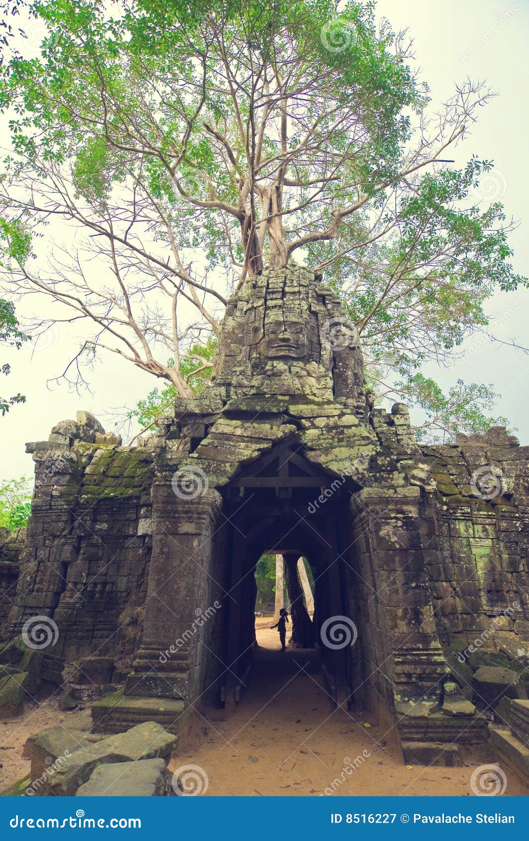 Banyan Tree Over the Door from Ta Som. Angkor Wat Stock Image - Image ...