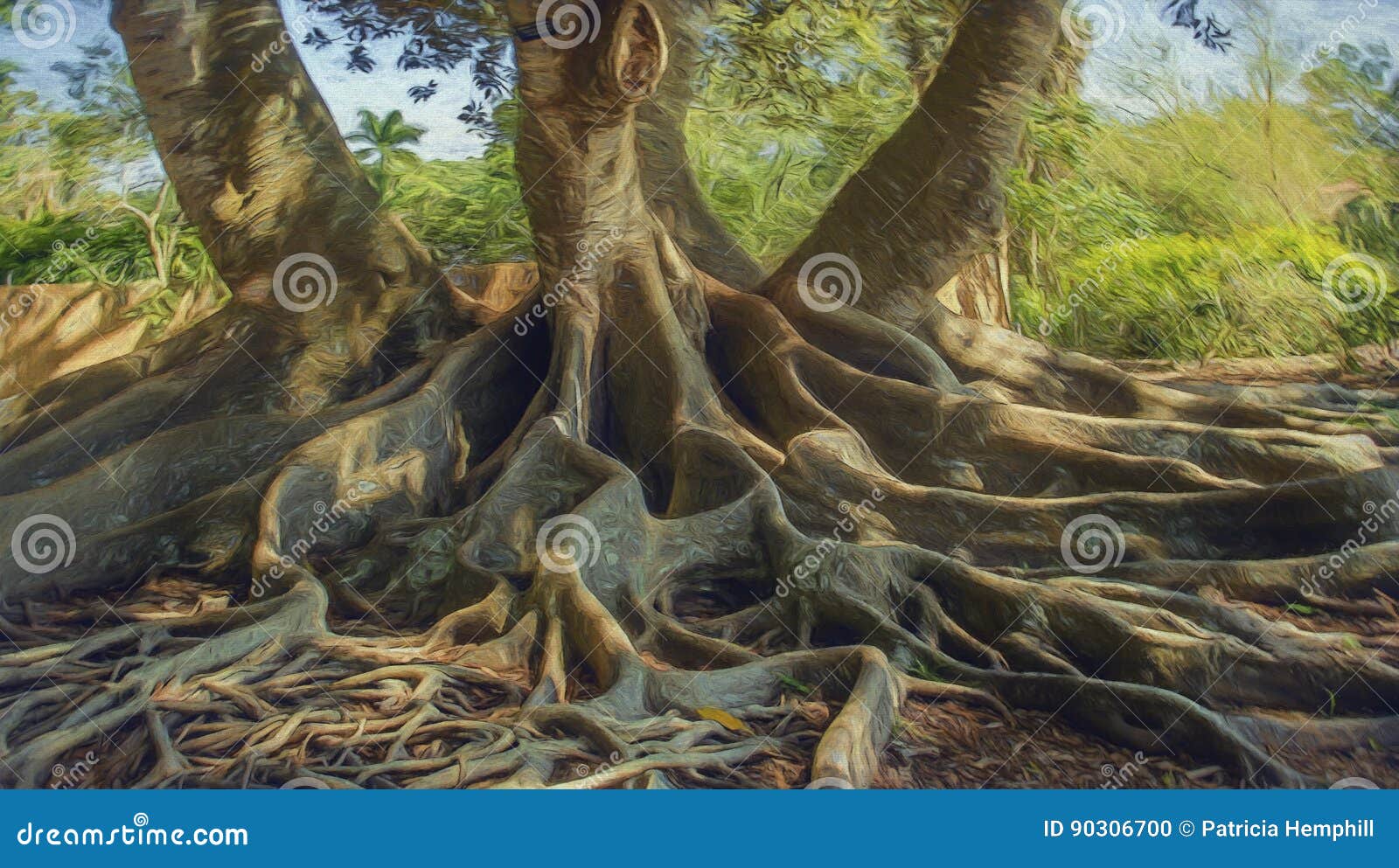 Banyan Tree Roots Royalty-Free Stock Image | CartoonDealer.com #90306700