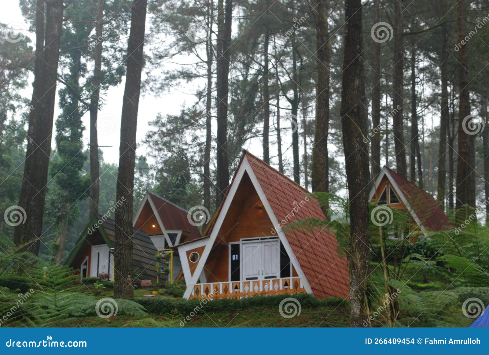Banyumas, 26 December 2022: Triangular Gazebos in the Middle of Pine ...