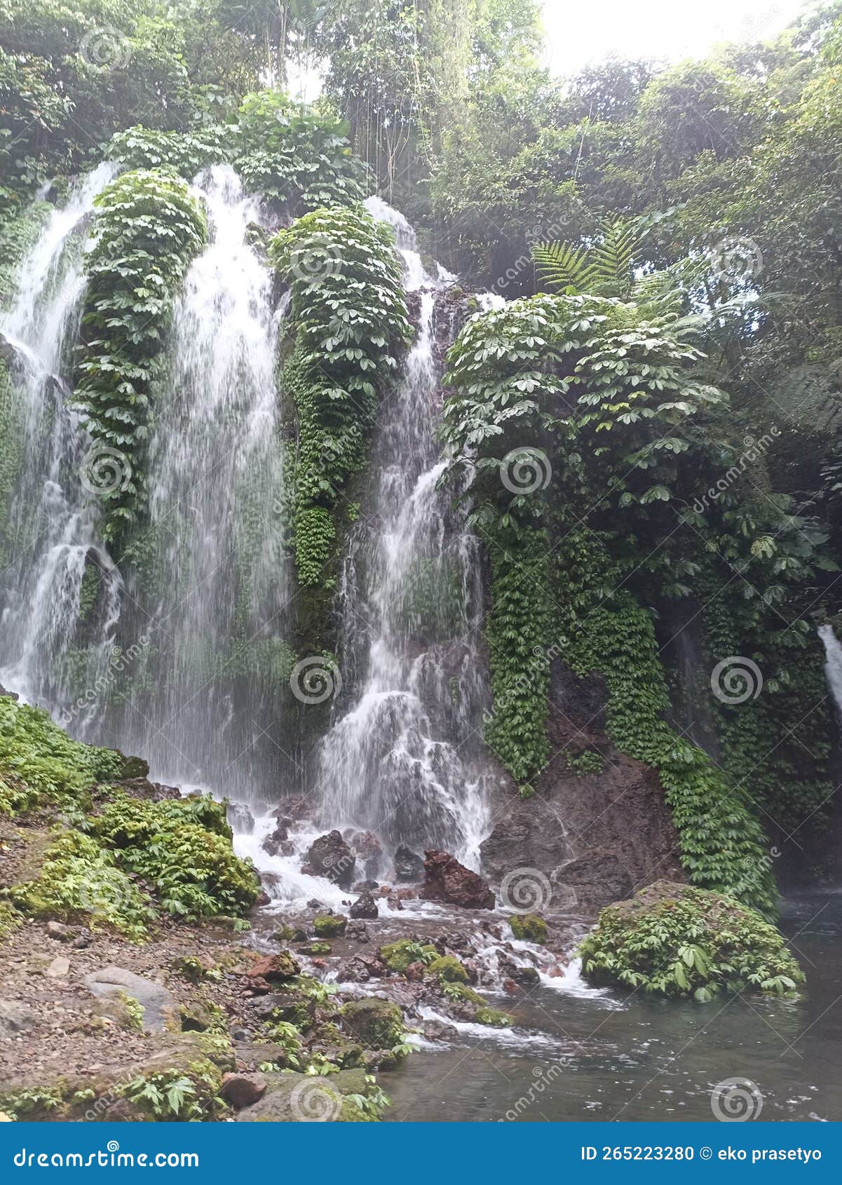 Banyuwana Amertha Waterfall Stock Photo - Image of waterfall, water ...