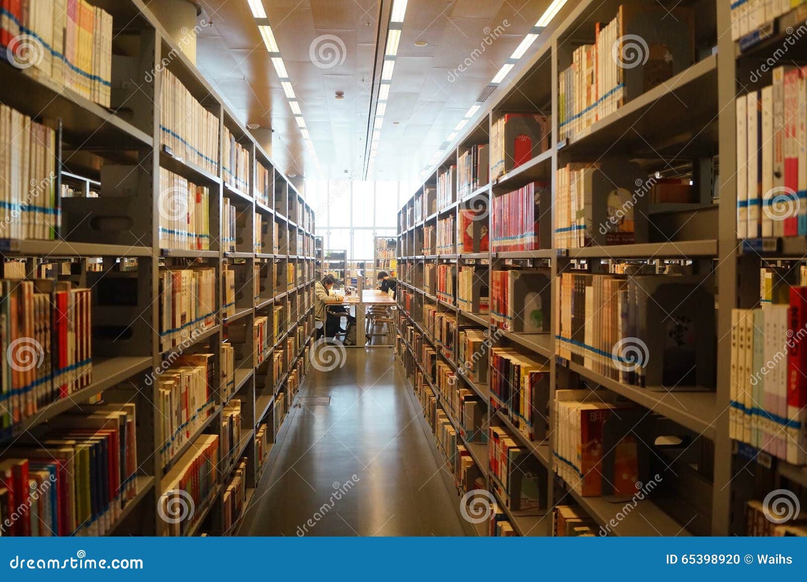 Library Interior Columns Editorial Image | CartoonDealer.com #170205176