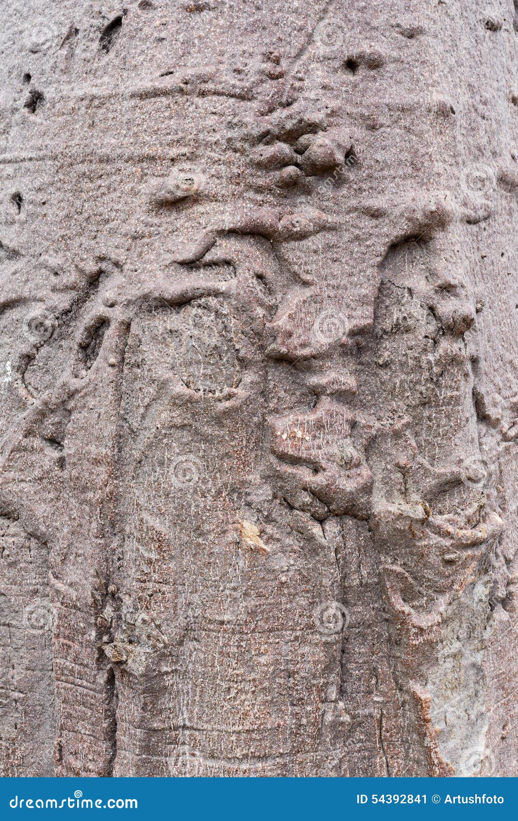 Baobab texture stock image. Image of valley, heath, brown - 54392841